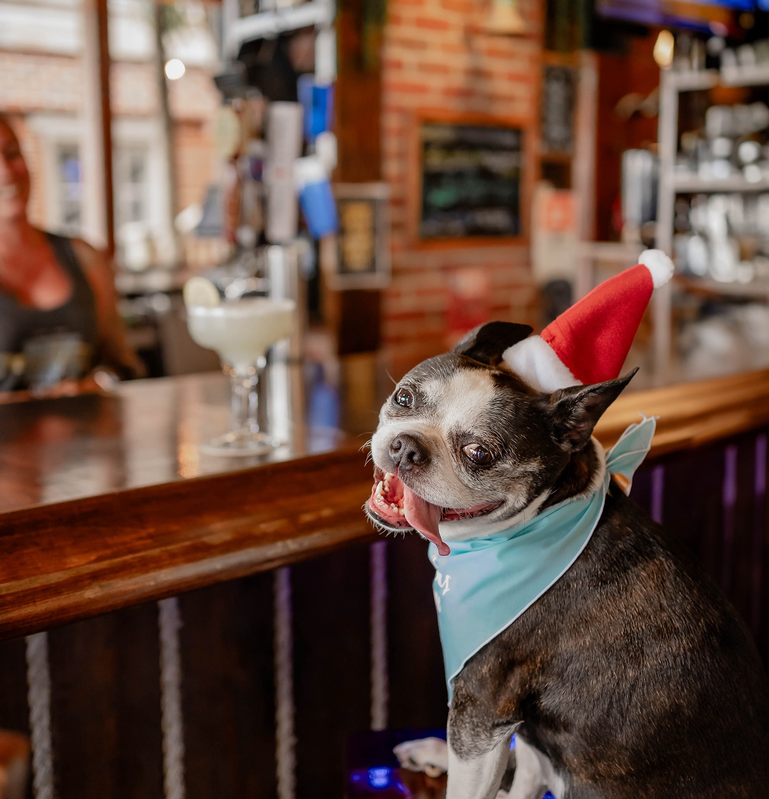 Ella’s Cottages Accommodation | Key West Historic Inns